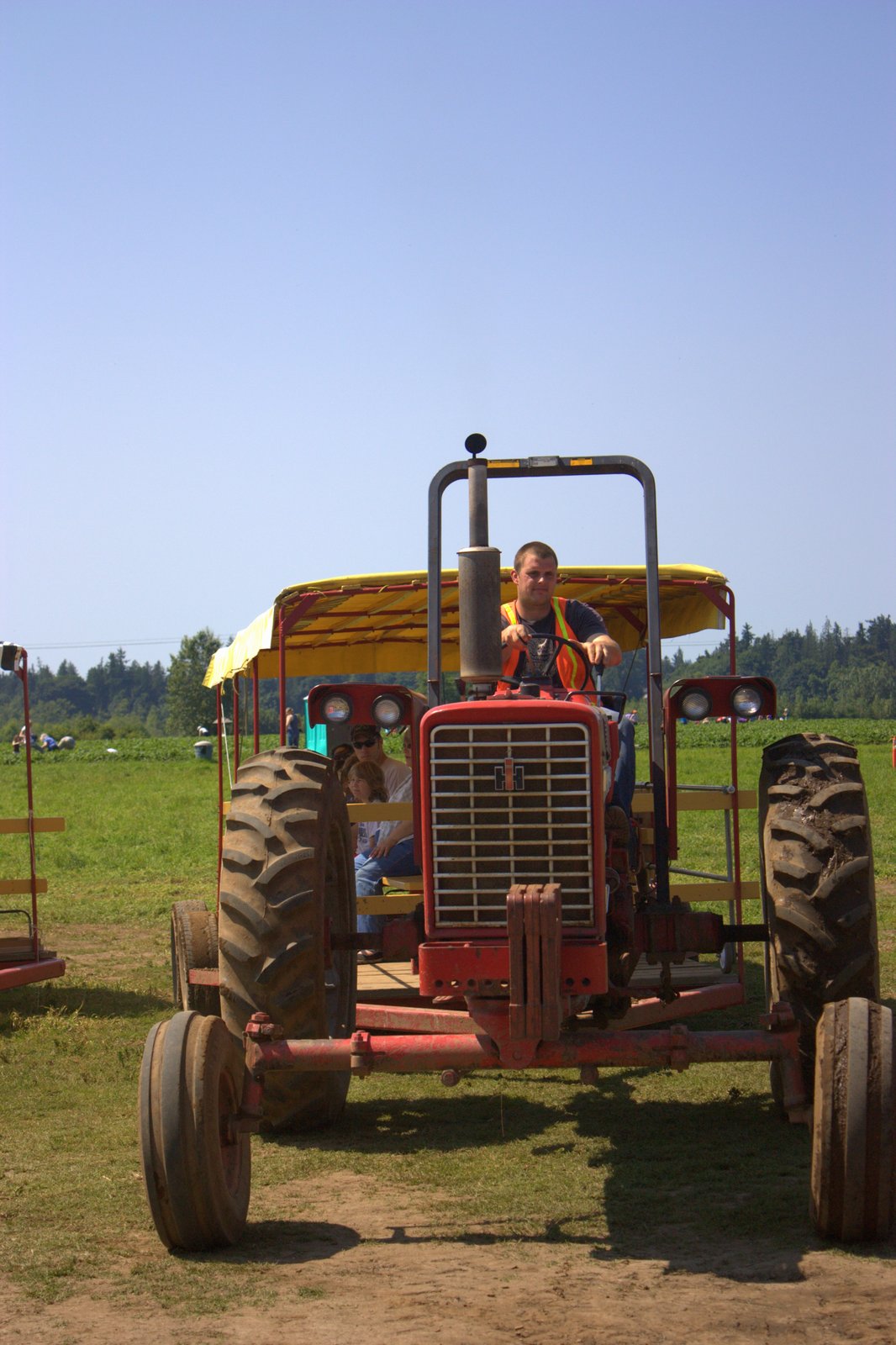 Berry Picking at Biringer Farm - home is where my story begins...