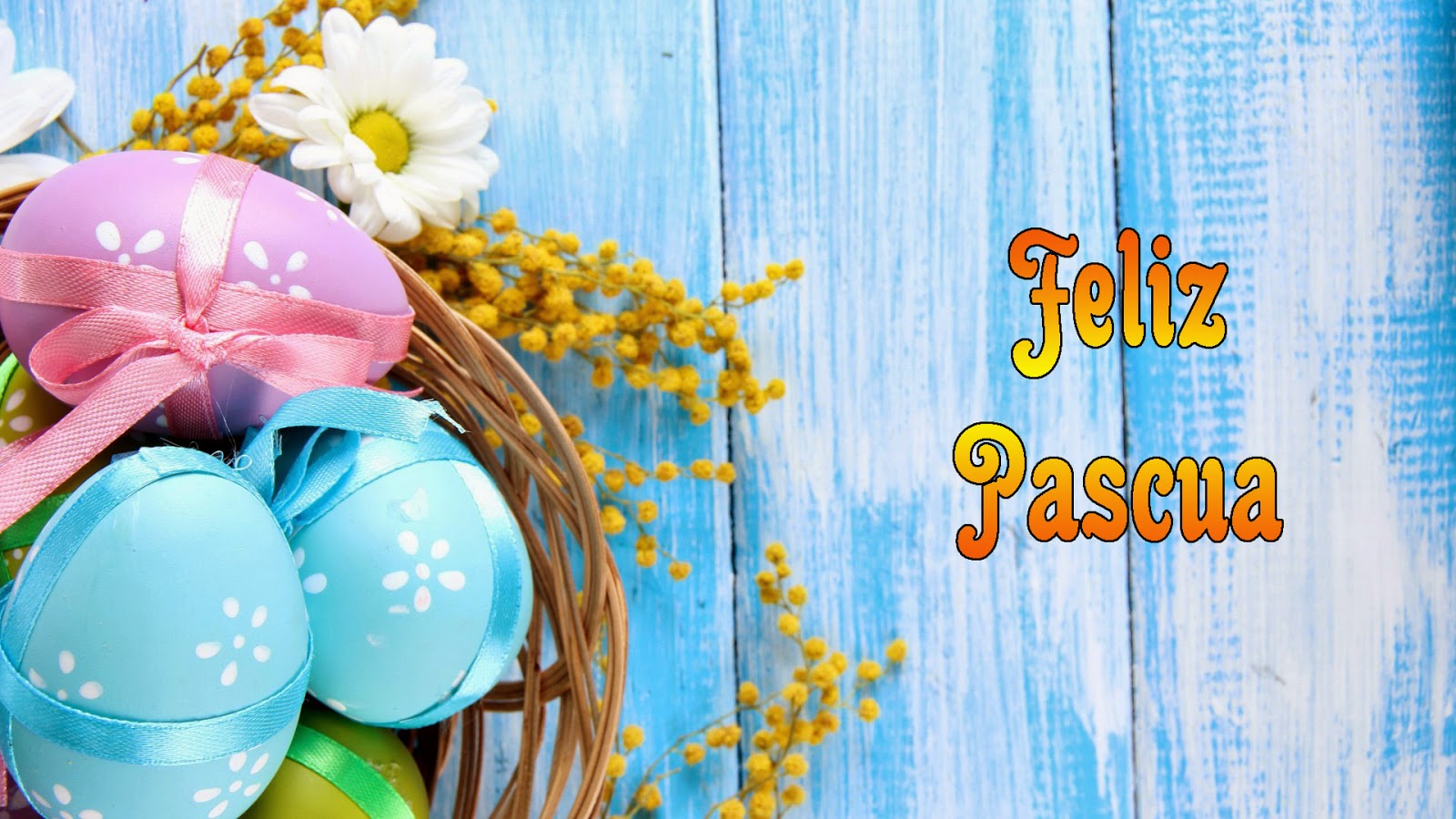 images: FELICES PASKUAS fotos