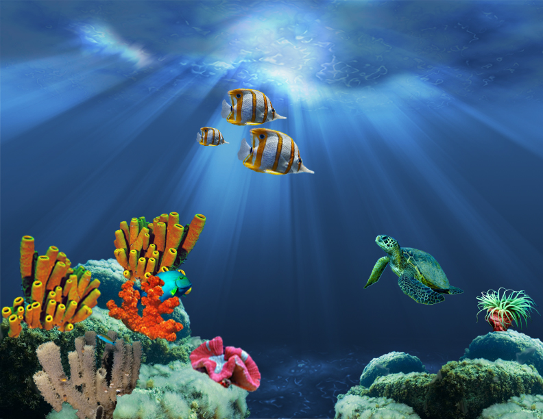 Jerdee's Art Classes: Digital Art | Underwater Ocean Scene