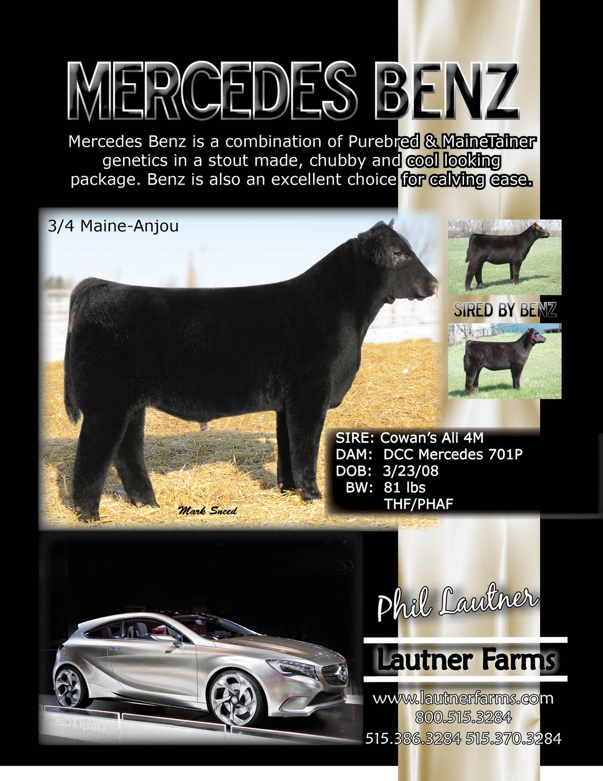 Duncan Livestock: Lautner Farms Mercedes Benz Ad