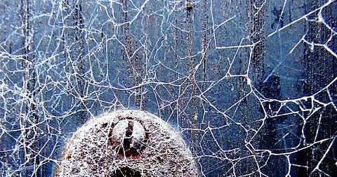 Stories of the Forgotten : The True Legend of Julia Legare- Fact vs Fiction