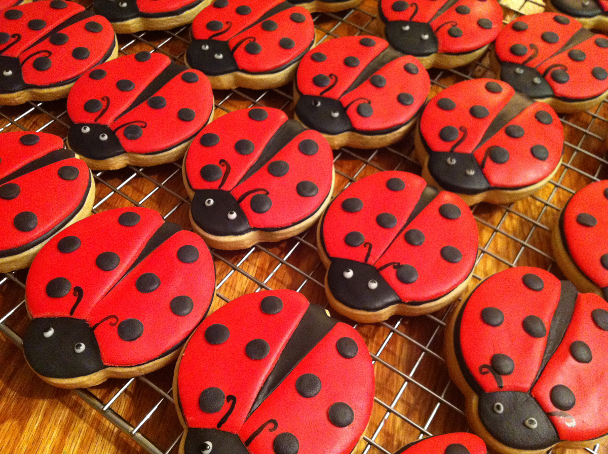 Leelees Cake-abilities: Ladybug Cookies