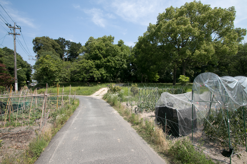 Mizuki Fort -Three large protective walls in Japanese history- | Japan ...