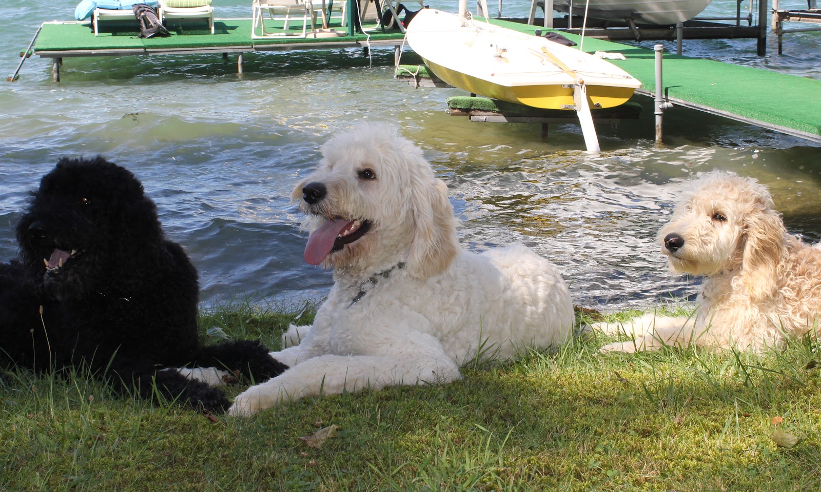 Green Garden Productions