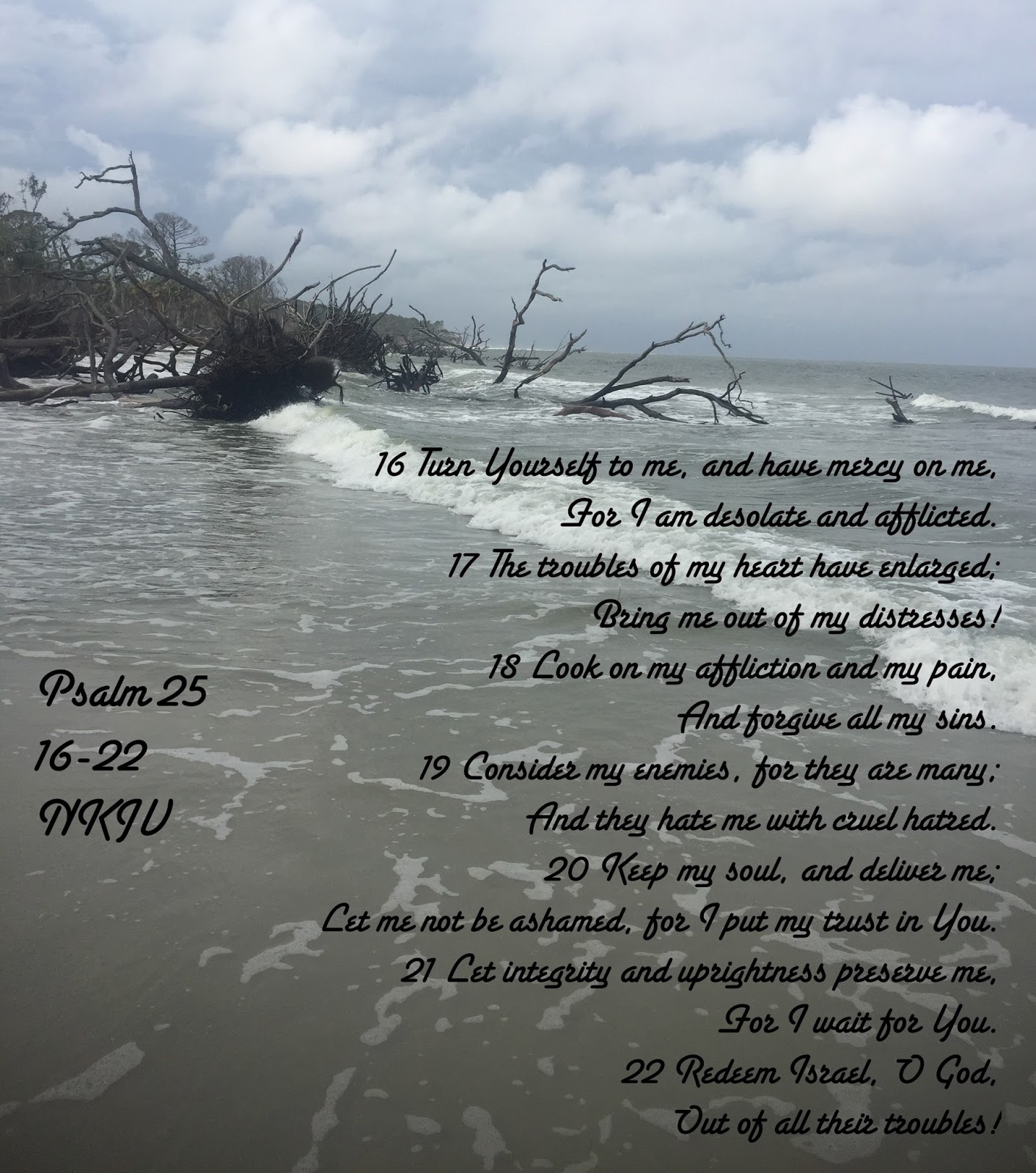 My Strength: Psalm 26 - "My Deliverer"
