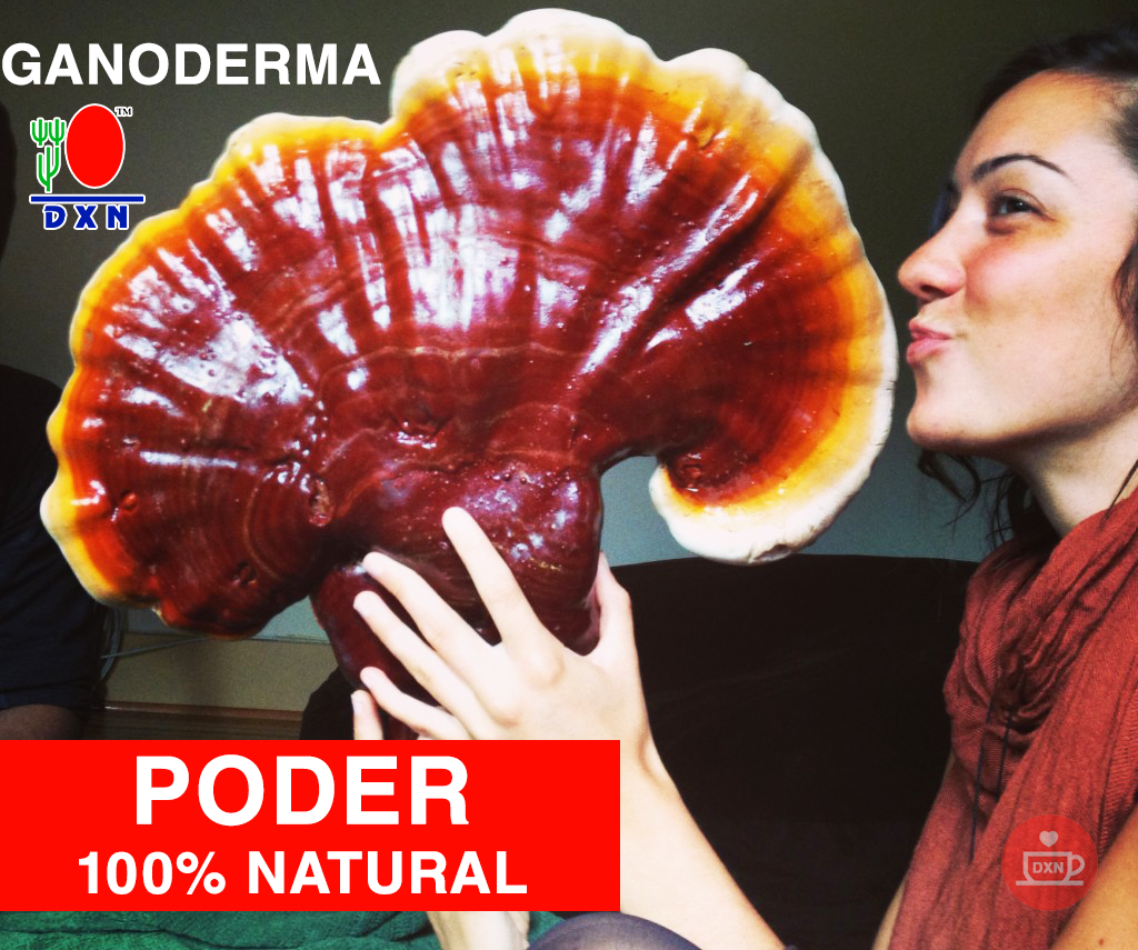 ¿Por qué elegir el Reishi o Ganoderma lucidum de DXN?