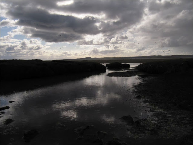 Islay Natural History Trust: Bridgend Merse