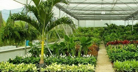 Agropecuaria : VIVEROS, TIPOS Y CARACTERÍSTICAS