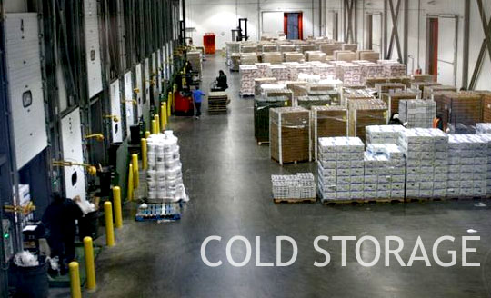 Cold Storage Companies in QATAR