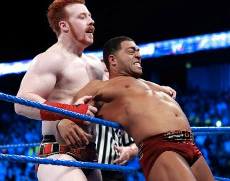 Beefcakes of Wrestling: Beefcake vs Beefcake