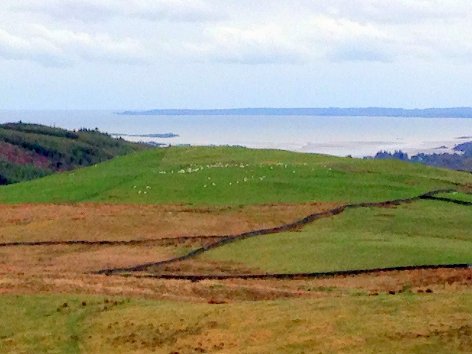 The Glebe Blog: 04/2015