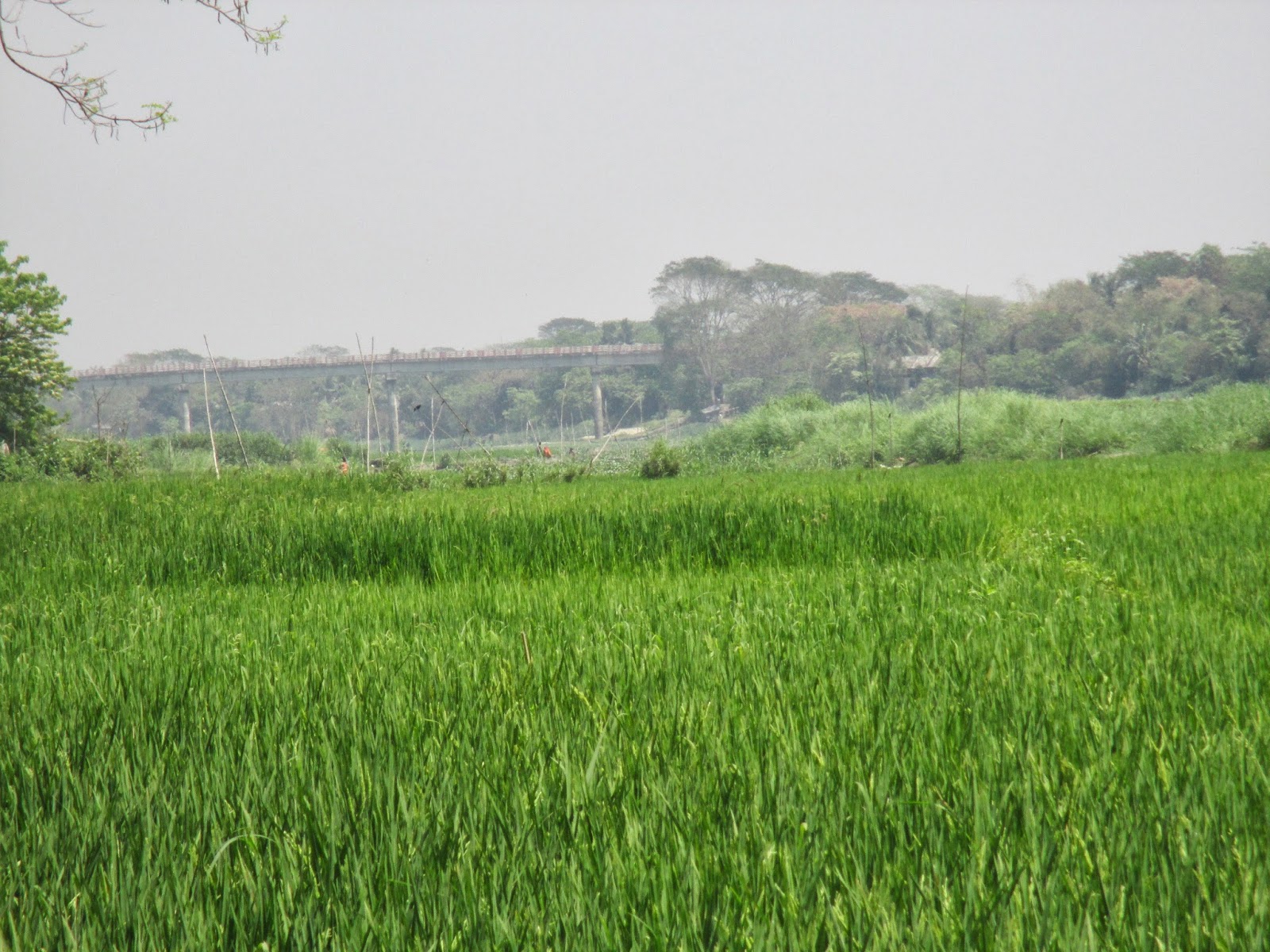 Life is Like That: Brahmanbaria-A place for natural beauty of Bangladesh