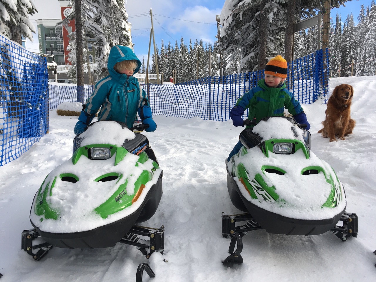 Daryl Treadway's Stories & Videos