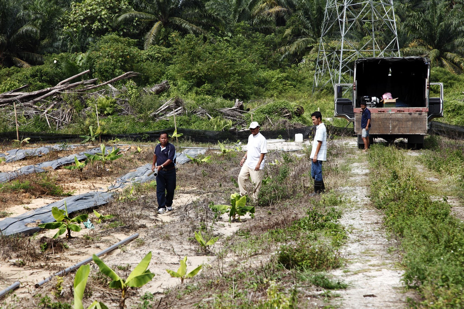Ladang 8: Ladang 8 dapat bantuan Jabatan Pertanian