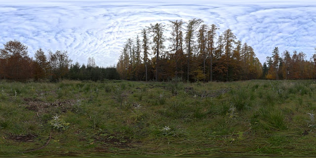 Nature HDRI #11 | Innovative Home decors