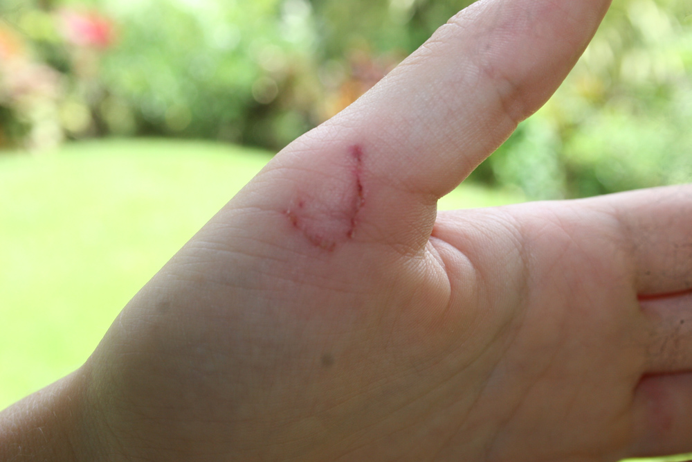 Hendersons Hilarities