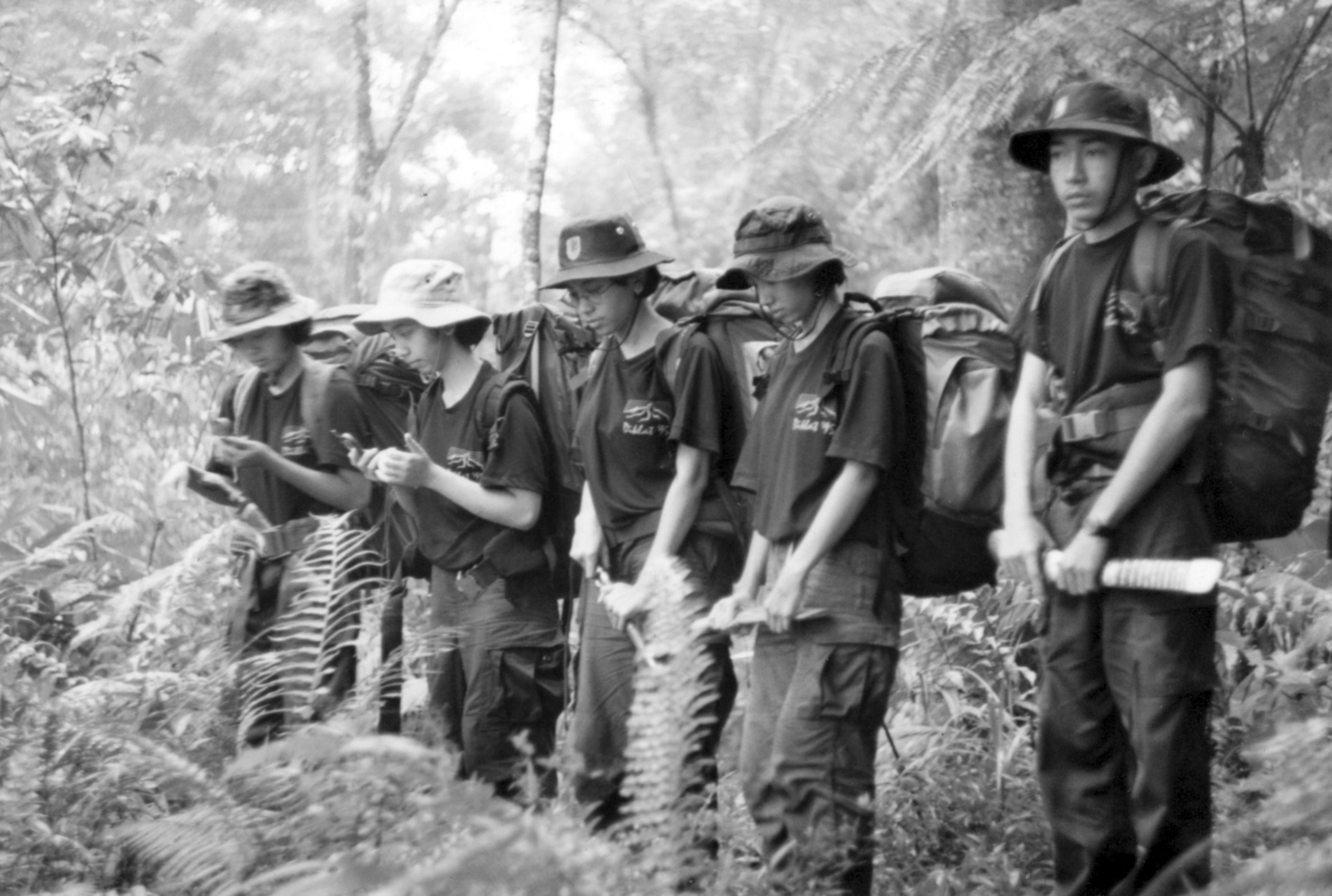 PRINSIP, TAHAPAN DIKLAT DAN TAHAPAN KEDEWASAAN ANGGOTA