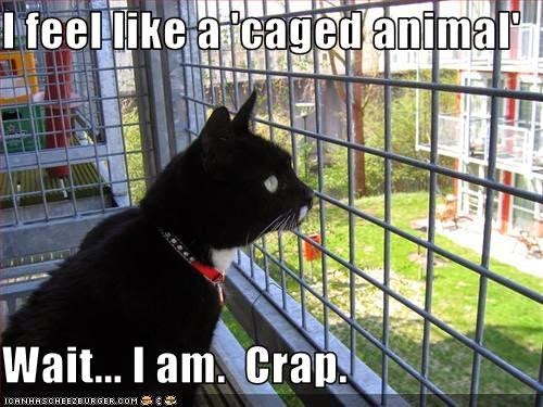 A View From Afar: Living in a Cage