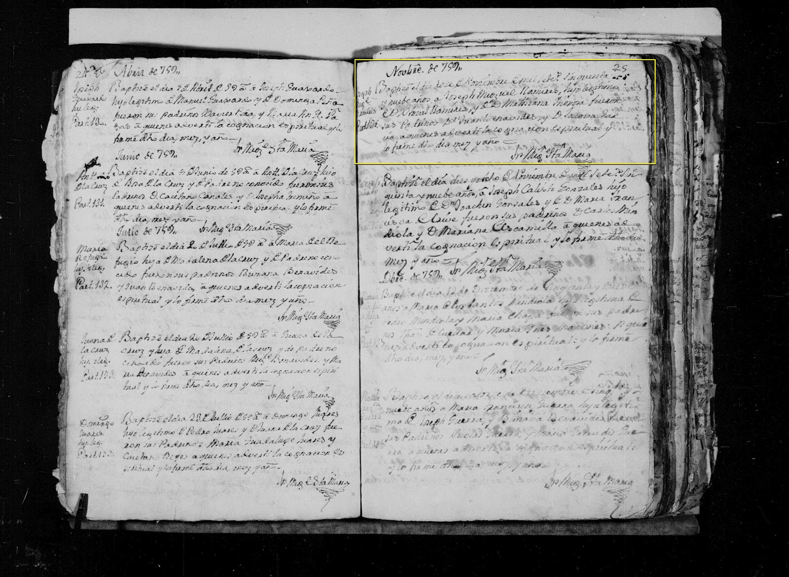 Tex-Mex Roots: Ramirez Family Tree