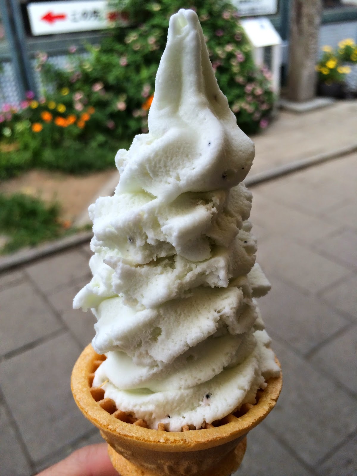 A White Boy in Japan (日本での白人)