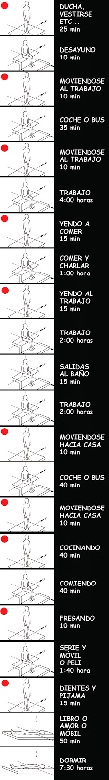 MI LABORATORIO DE IDEAS: hombre: posición erecta?