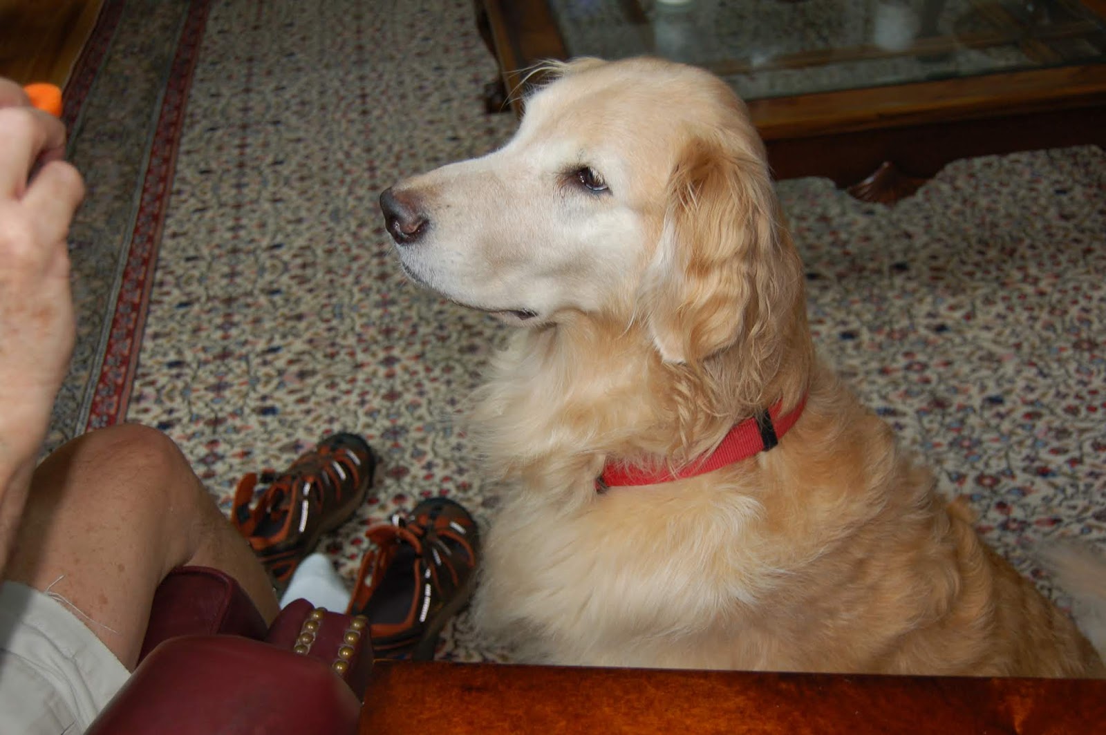 MOUNTAIN MUSINGS: Late Lucy