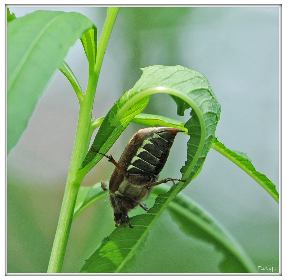 Natuur, cultuur en alles wat boeit ...: Natuur- en Milieucentrum ...