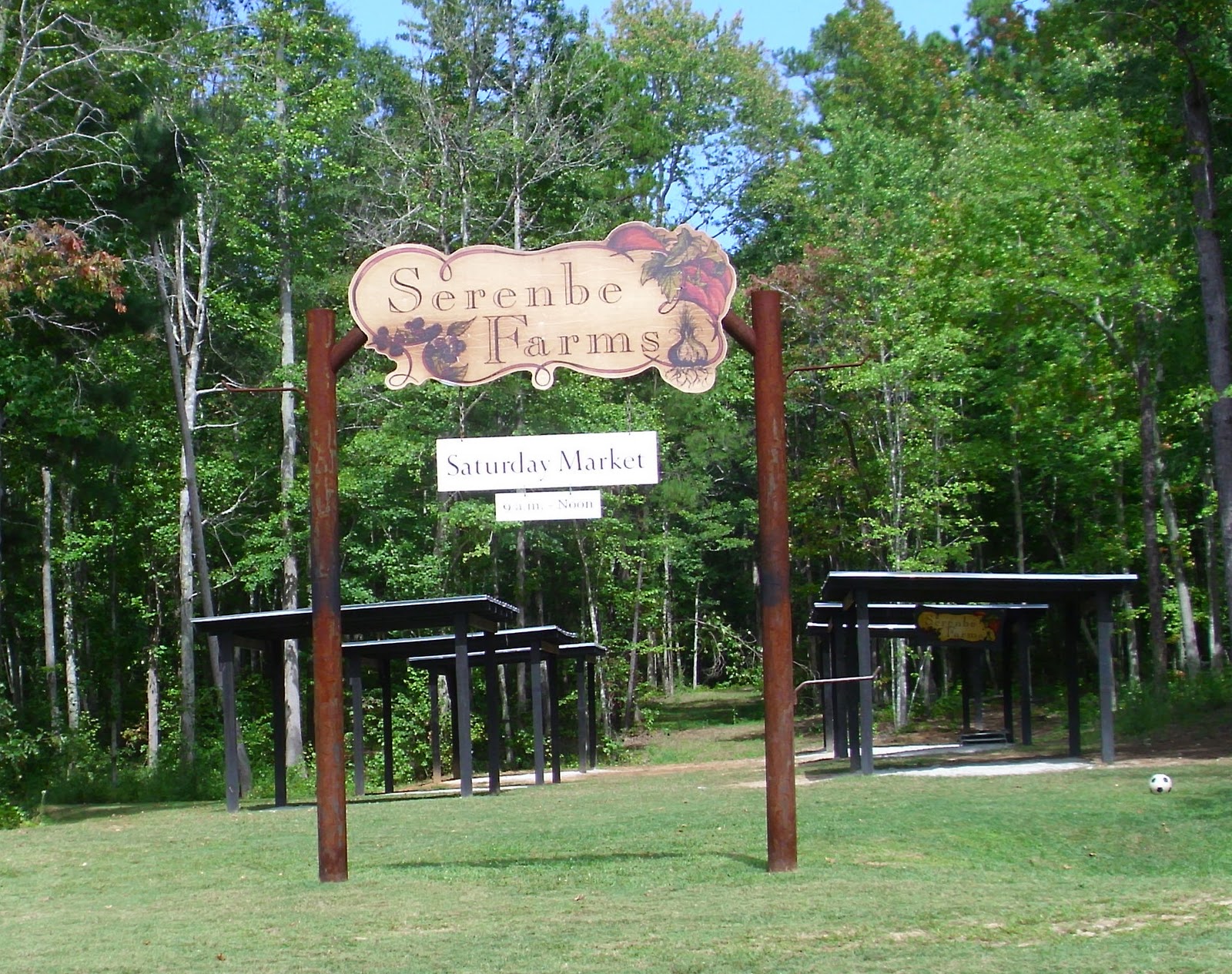 SereneGreenGA: Serenbe Visit Continued: Details