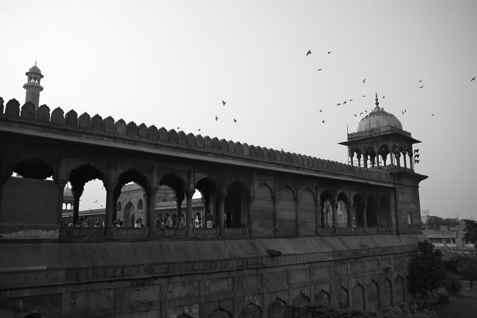 travel, learn, live: India - Delhi II