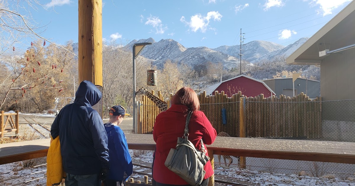 Twelve Makes a Dozen: Christmas Adam Observed