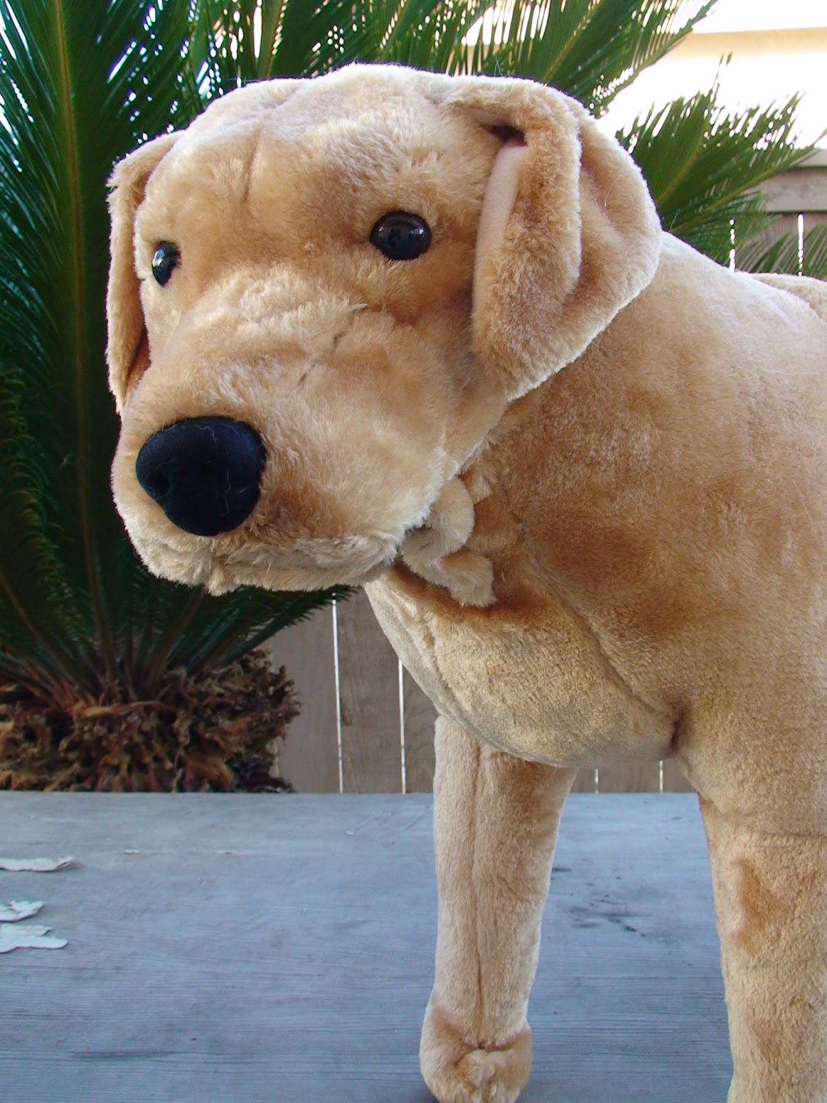 The Super Awesome Blog of Dogventuring: Stuffed Dogs