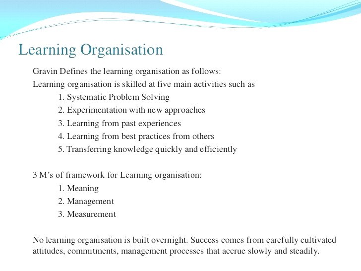 Learning Organization - Define Learning Organization