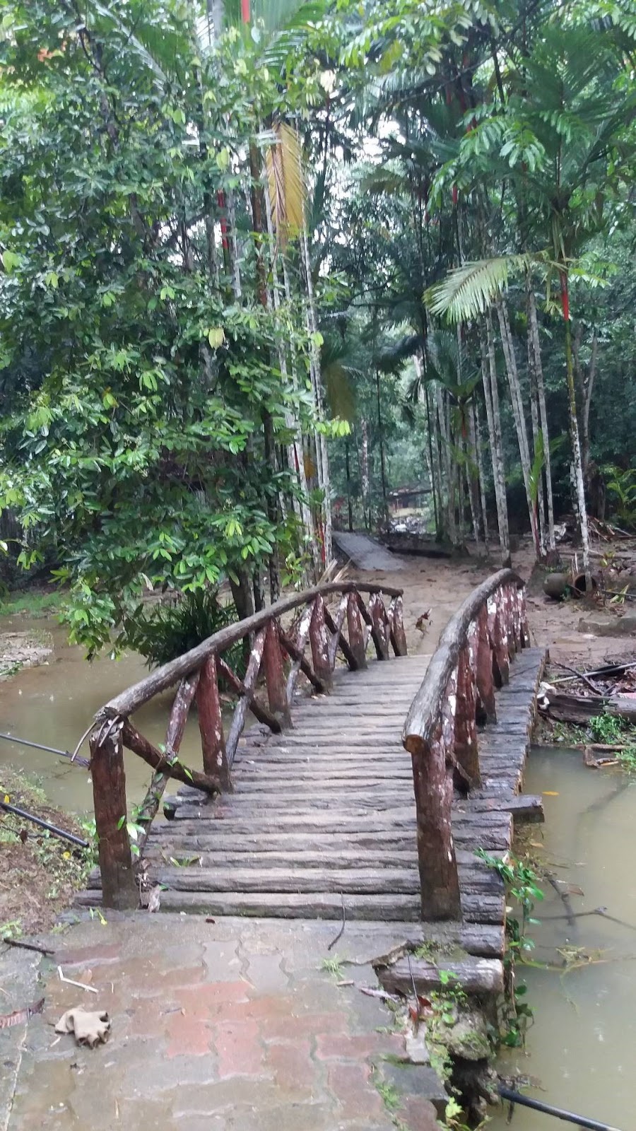 Mohd Faiz bin Abdul Manan: Hutan Lipur Bukit Wang
