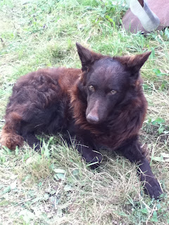 Helgas travels: Velke Pole (Hochwies), Slovakia
