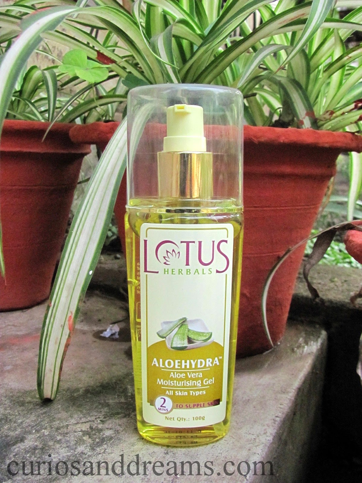 Lotus AloeHydra Moisturising Gel : Review - Curios and Dreams - Indian ...