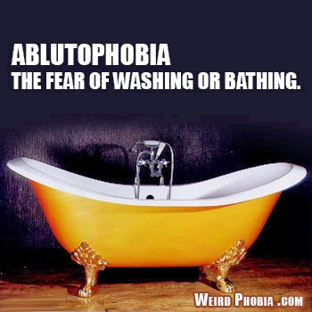 Collections: November 2013