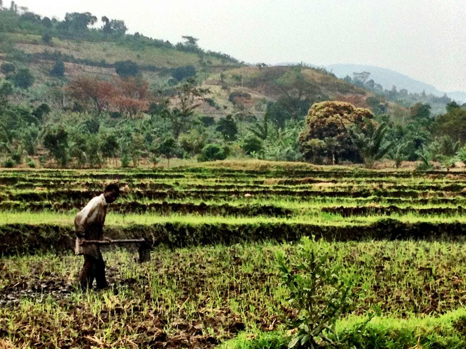 World Food Day in Rwanda!