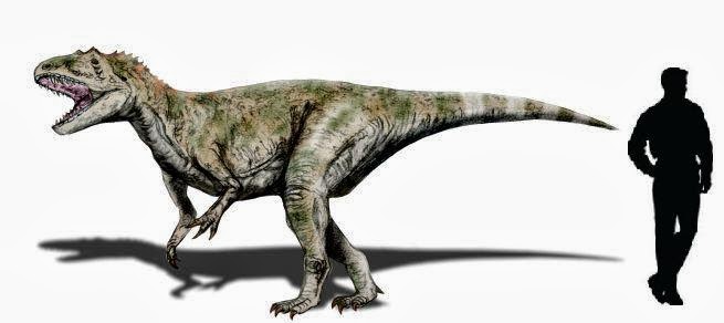 Los animales en la prehistoria: Historias fósiles raras