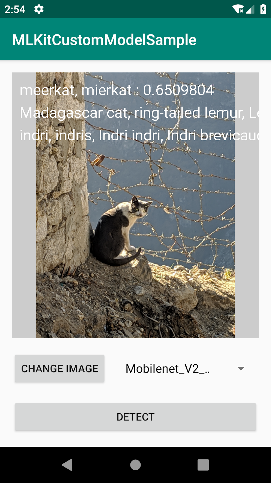 Y.A.M の 雑記帳: ML Kit Custom Model その5 : Inception_V1_quant を使う