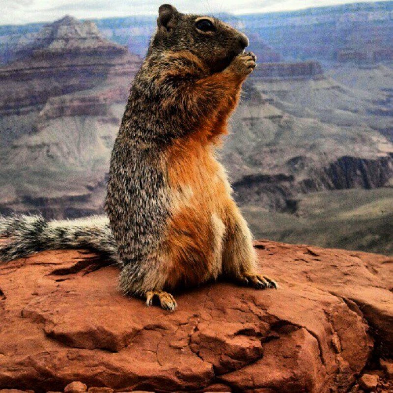 Moon Over the Interstate