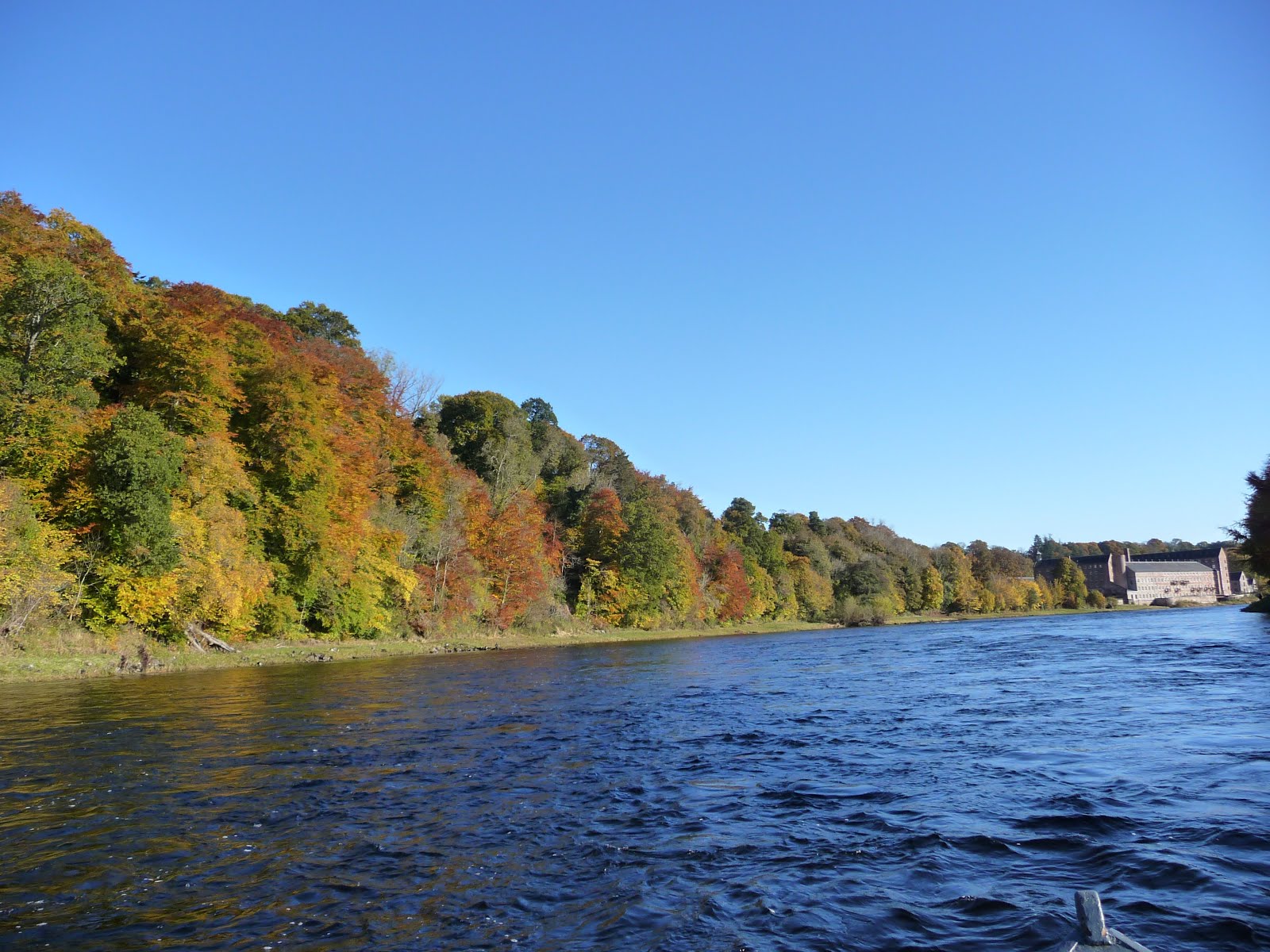 Salmon Fishing Scotland Spectacular Perthshire Autumn Scenery on the ...