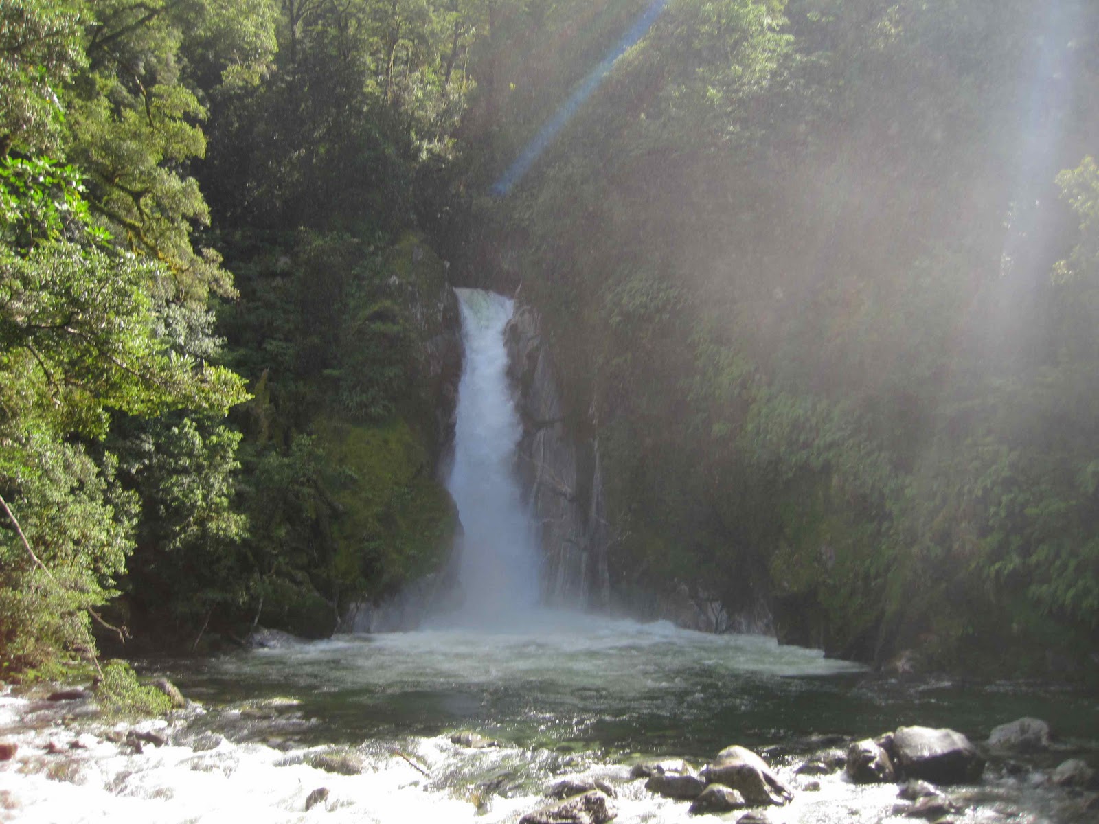 Carolyn in Aotearoa: Milford Track, Day Four: Dumpling Hut to Sandfly ...