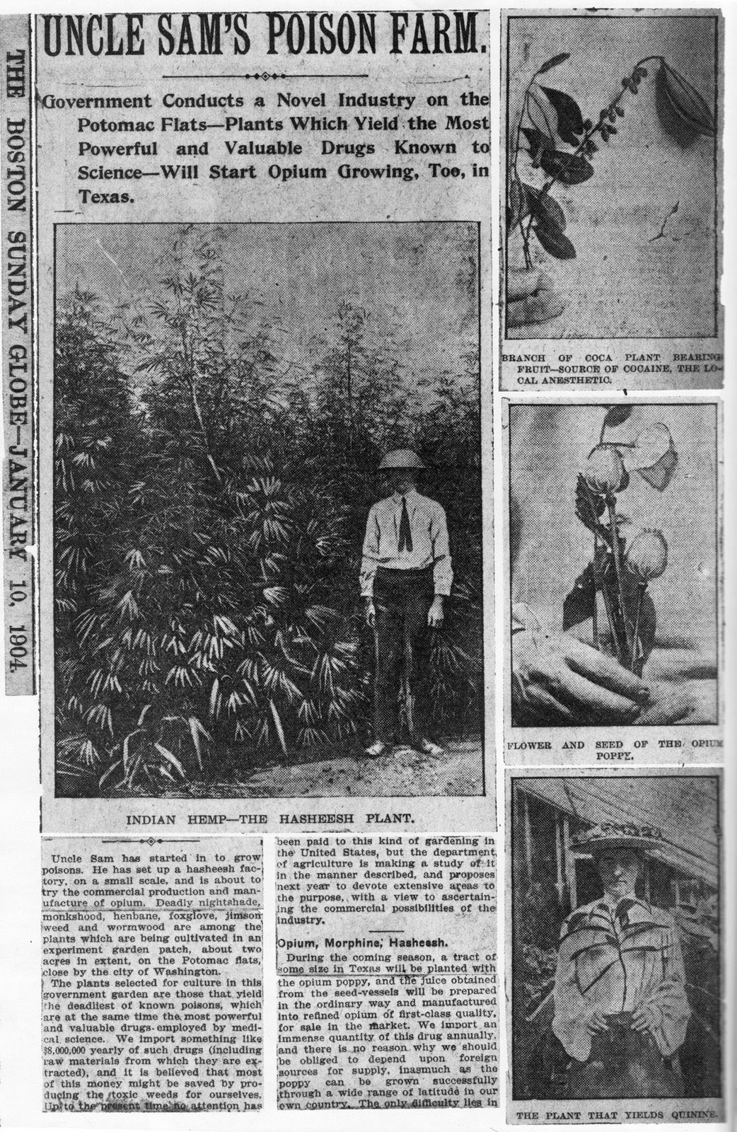 Freedom of Medicine and Diet: PETER LEWIS: IRA GLASSER is a waste of