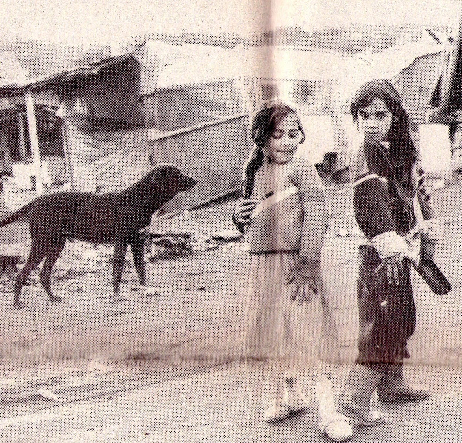 Salvatore Lo Leggio: Zingari. Mille anni fa dall'India...