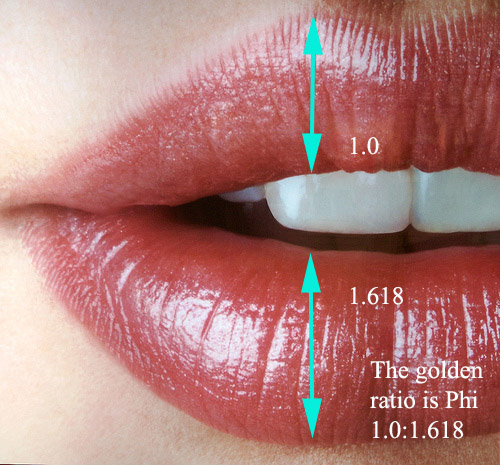 Anatomia dos lábios:sua importância