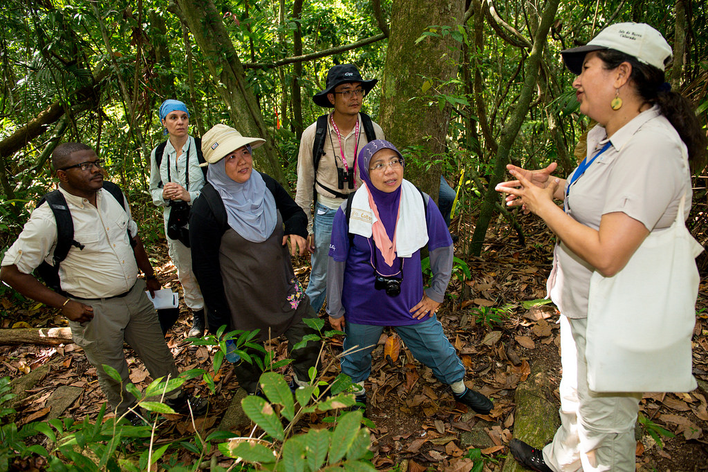 Annual workshop at the pioneer forest plot: CTFS - ForestGEO partners ...