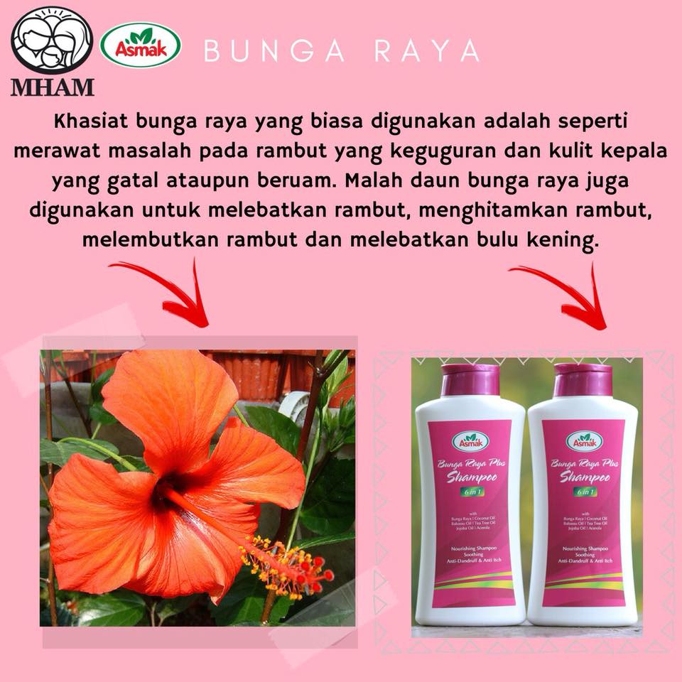 Minyak Herba Asmak (MHAM) Putrajaya