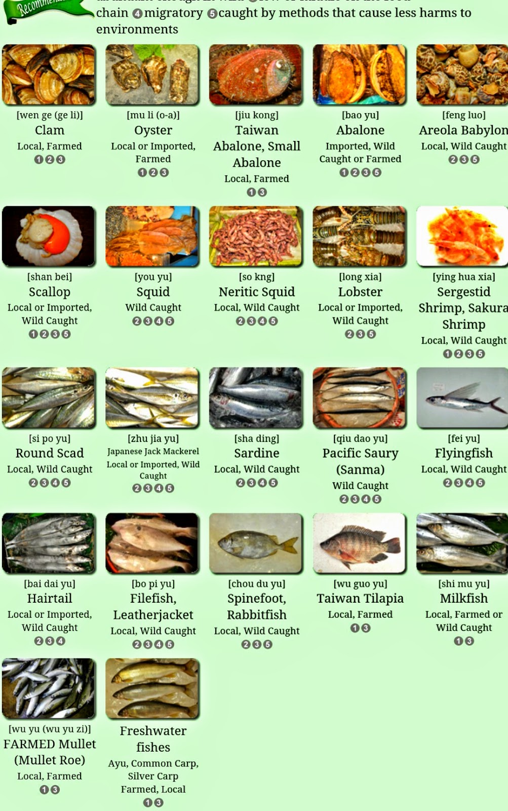 Discover Taiwan: Seafood Guide #1 : Sustainable Seafood in Taiwan