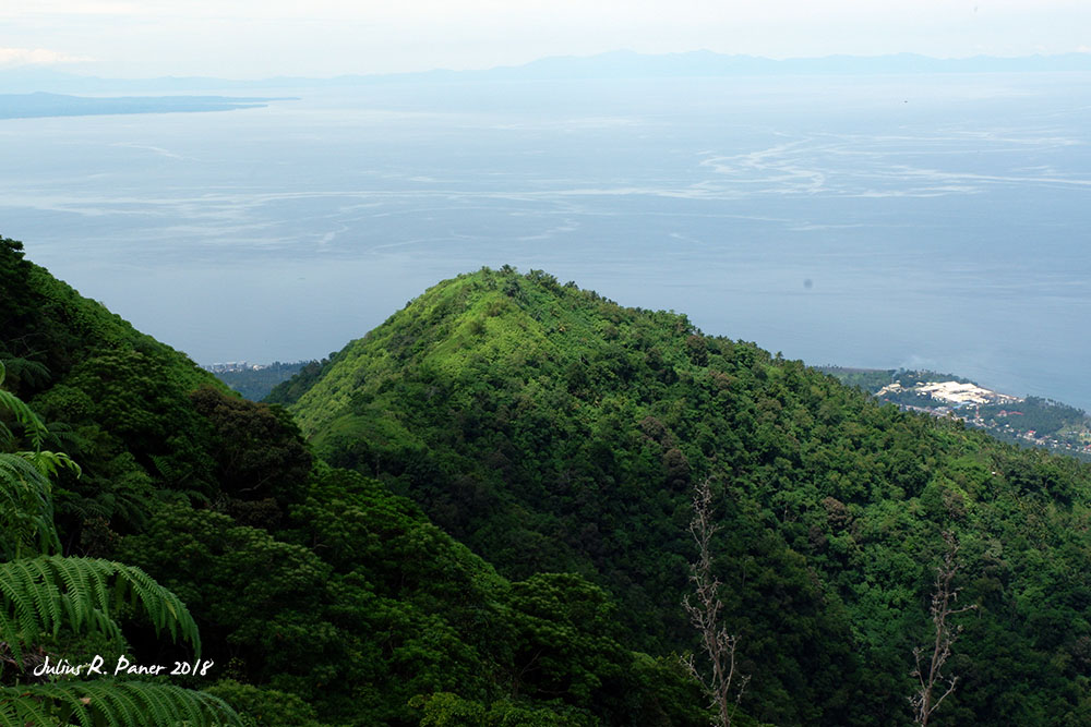 LOGSAC: Crisscrossing Mt. Loay to Kiblan route