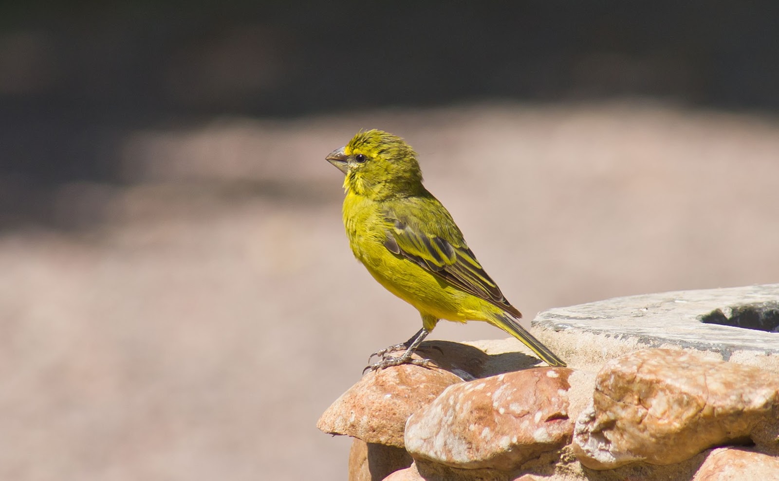 John Heddon Photography: Maluti Mountains & Other Images